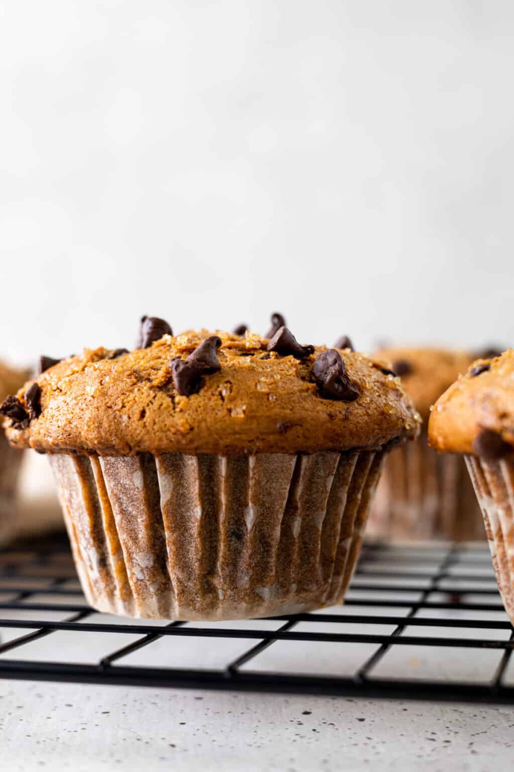 Coffee Muffins with Chocolate Chips – Sugary Logic