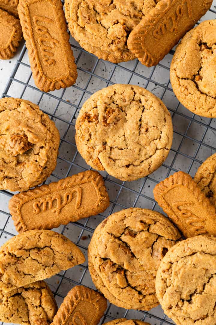 Chewy Biscoff Cookie Butter Cookies Recipe – Sugary Logic